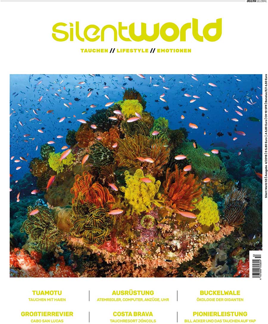 Heute erscheint die Silent World 4-2018 - Silent World